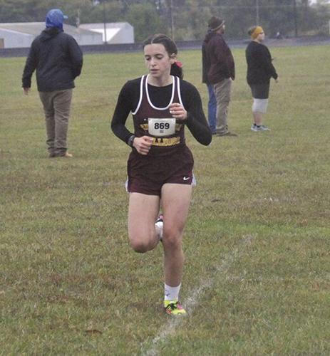 Fairview girls win title, boys runner-up at GMC Cross Country ...