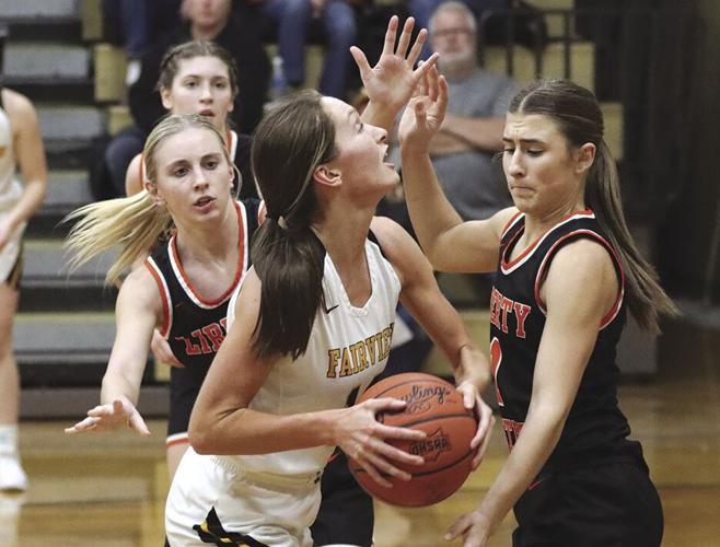 Bryan's Grosjean, Fairview's Crites earn top awards in all-District 7 ...