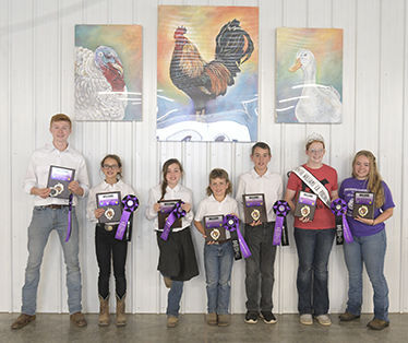 Fair 2022 Poultry Show Winners | Local News | bryantimes.com