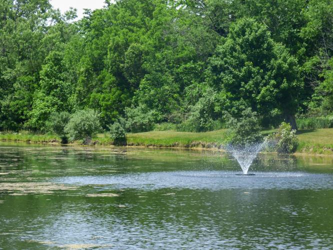 Path may be installed at Bible Park | News | bryantimes.com