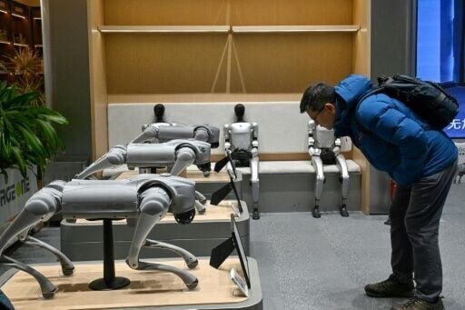 Artist chains up thrashing robot dog to expose AI fears | News ...