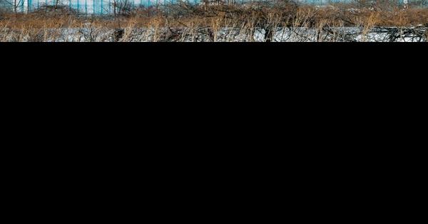 Bryan water towers inspected; Maintenance plan offered | Local News ...