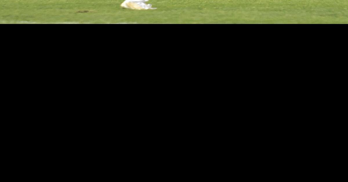 Bryan football aims to continue momentum from last week's win | Bryan ...