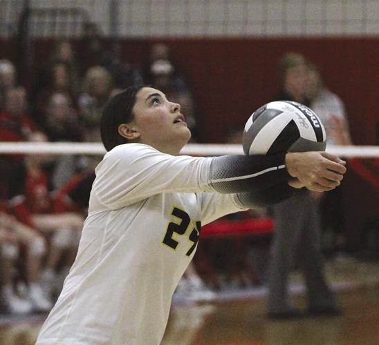 Hilltop volleyball claims 5th consecutive Division IV sectional crown ...