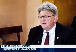 Hoops' virtual meeting bill progressing | Bryan Times | bryantimes.com