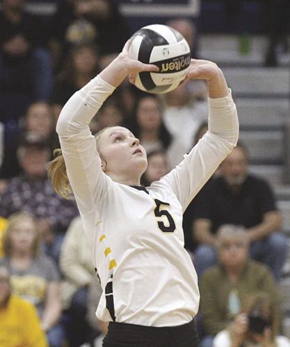 Fairview falls to Coldwater in Division III regional volleyball ...