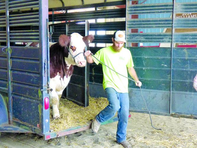 4-H: Empowering the Next Generation with Skills for Life | News ...