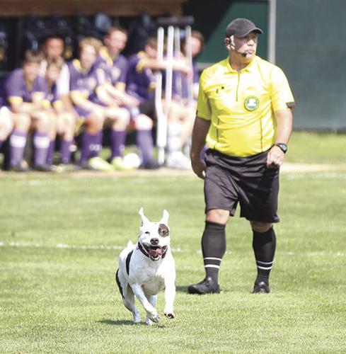 Celina blanks Bryan in boys soccer | Bryan Times | bryantimes.com