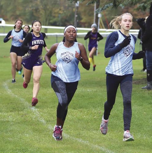 Pettisville sweeps team titles, Fayette takes individual crowns at BBC ...