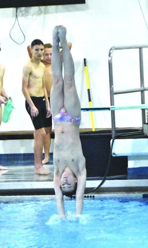 Napoleon sweeps district diving titles | Sports | bryantimes.com