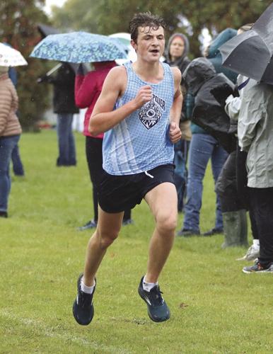 Pettisville sweeps team titles, Fayette takes individual crowns at BBC ...