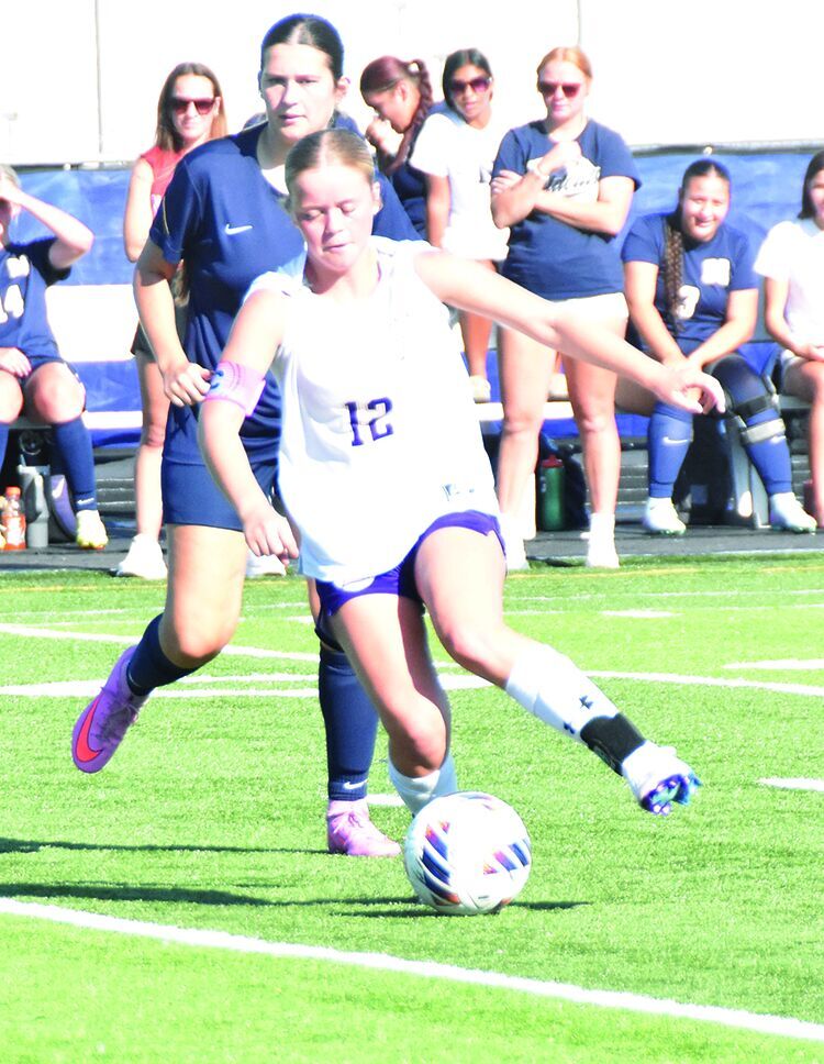 Bryan girls soccer shuts out Napoleon | Sports | bryantimes.com