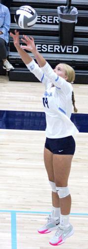 Prep Volleyball Roundup: Hilltop, North Central earn sweeps, Stryker ...