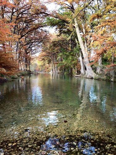 Run the Mongo River | | bryantimes.com