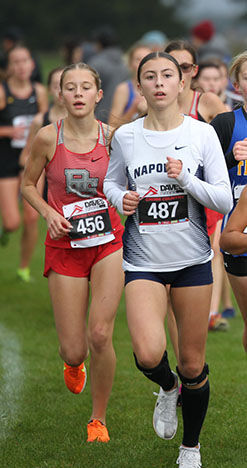 Wildcats place third at NLL meet | Bryan Times | bryantimes.com