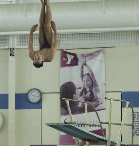 Bryan swim and dive cruises by Springfield | Bryan Times | bryantimes.com