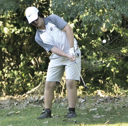 Bryan boys golf wins key NWOAL match over Swanton, Patrick Henry ...