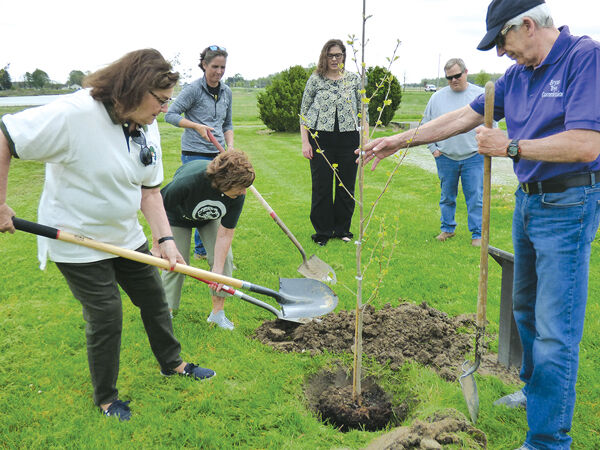 ODNR plants tree at retention pond | Local News | bryantimes.com