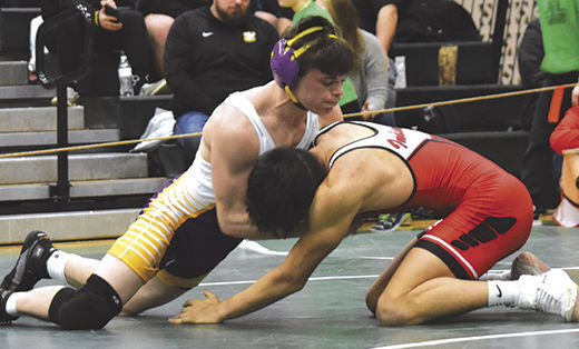 Fenter finishes runner-up to lead Bryan at NWOAL Wrestling Tournament ...