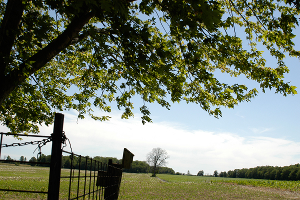 The Stoll Family Farmstead for 100 years | | bryantimes.com