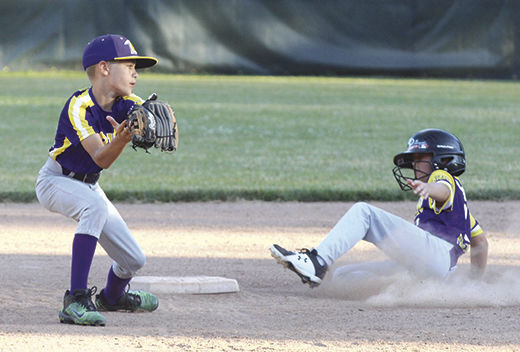 Cubs win Bryan Baseball Association's Wildcat, Major league ...