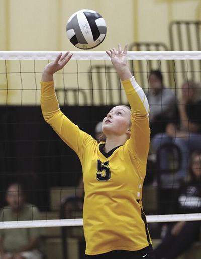 Senior Spotlight Haley Hammer | Bryan Times | bryantimes.com
