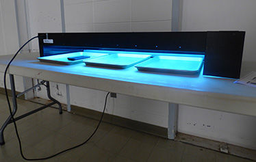 Daavlin seeks authorization for disinfecting machines | Local News ...