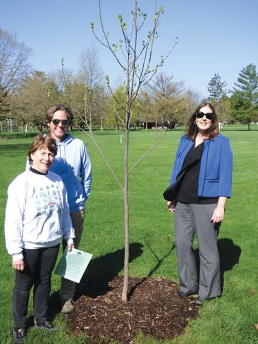Tree commission plants tree for Arbor Day | Local News | bryantimes.com