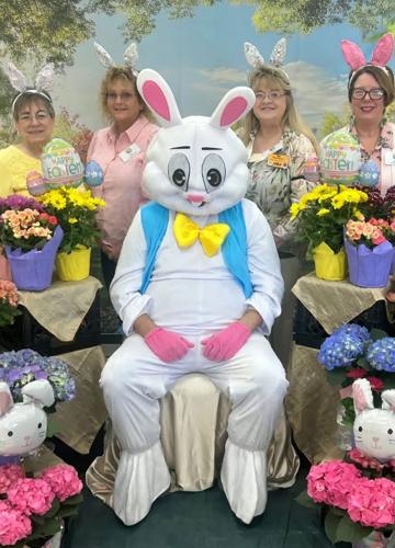 Preceptor Sigma help with Easter Bunny visit | Social | bryantimes.com