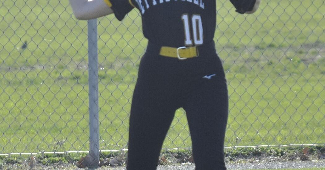 Rochefort ignites Pettisville softball rally against Holgate with late ...