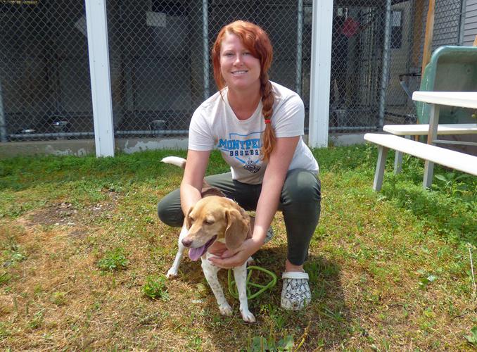Humane society has too many dogs | Local News | bryantimes.com