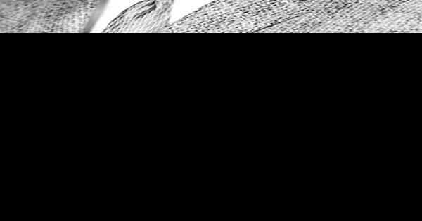 Don K. Cline (1935-2023) | Obituaries | bryantimes.com