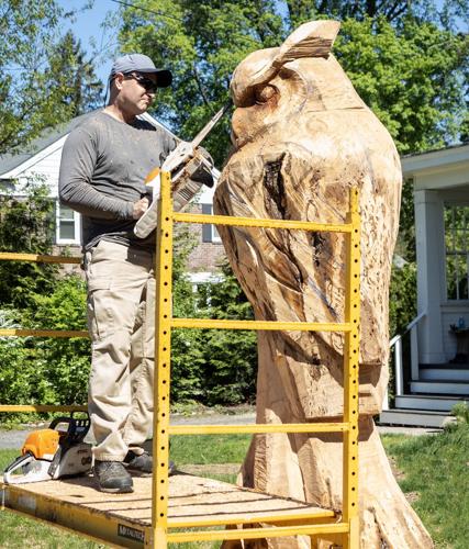 washington dc owl shape