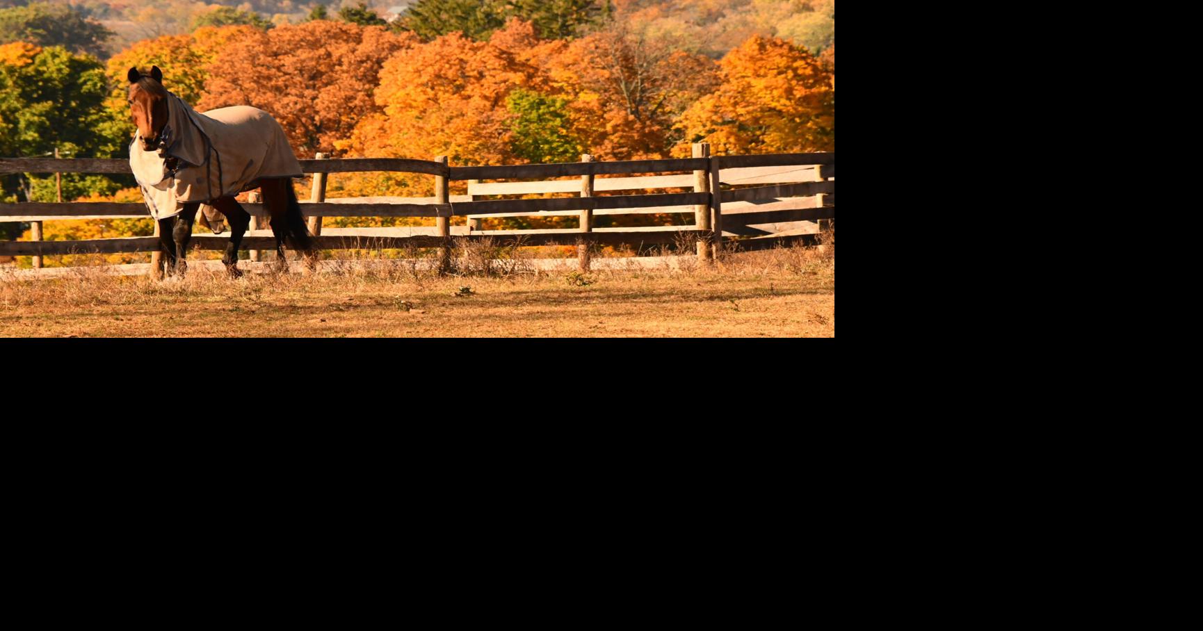 The grievous toll of war on an Upper Bucks village | Bucks County ...