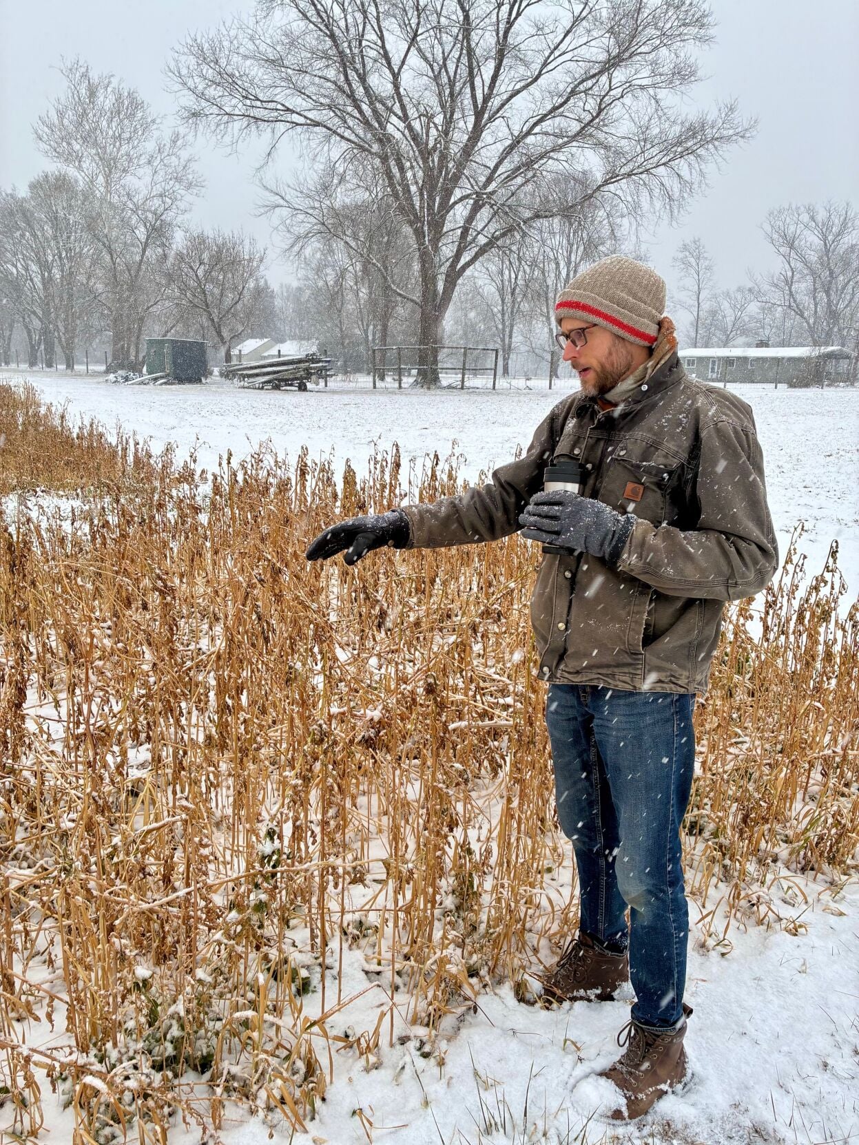 January: Walking the Tinicum CSA fields before they wake | News ...