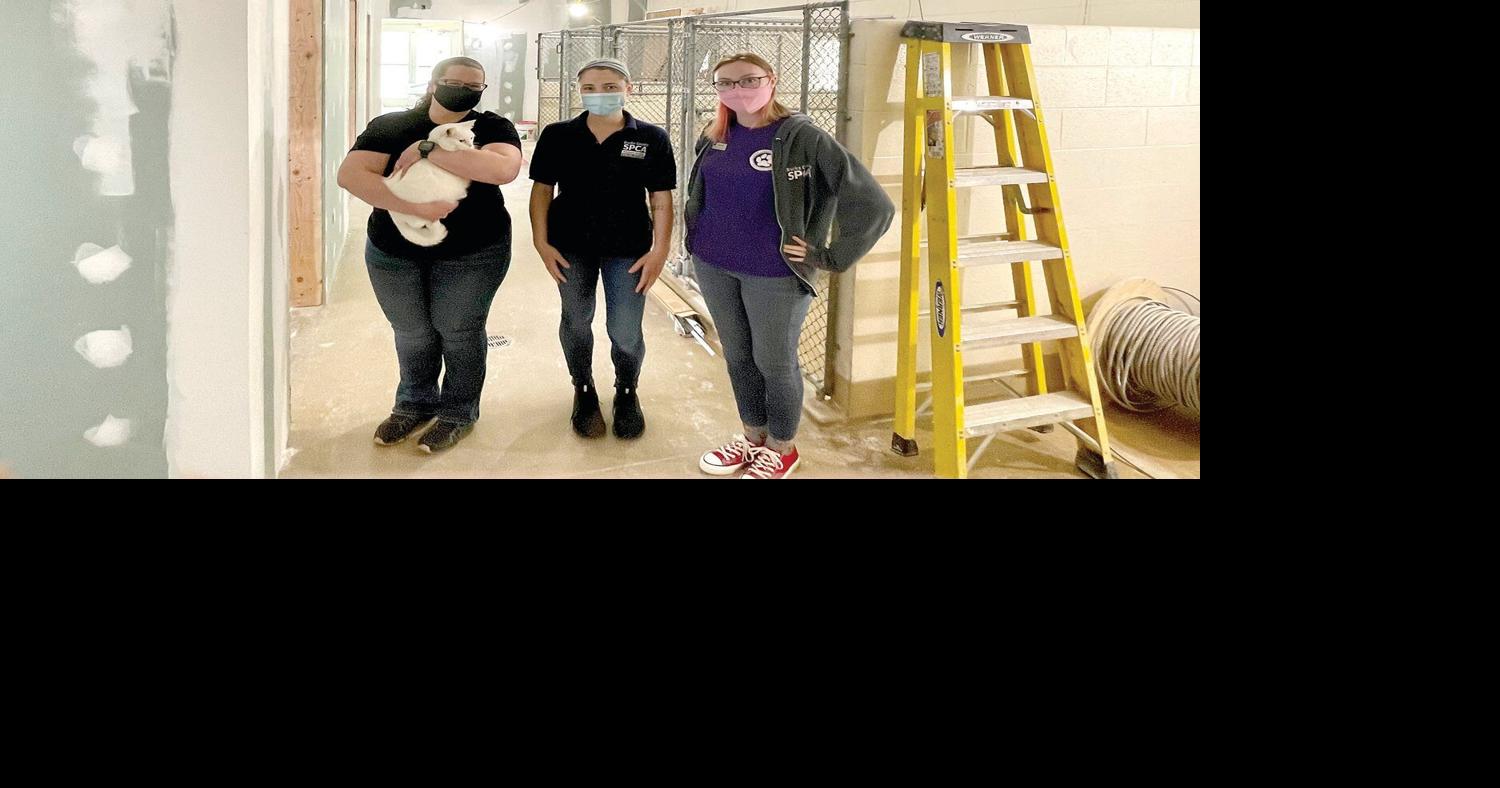 Lahaska SPCA undergoing renovations | News | buckscountyherald.com