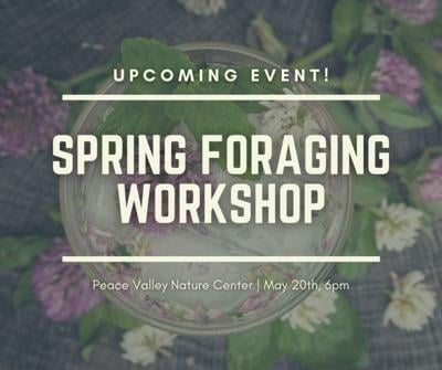 Spring Foraging Workshop | Calendar | buckscountyherald.com