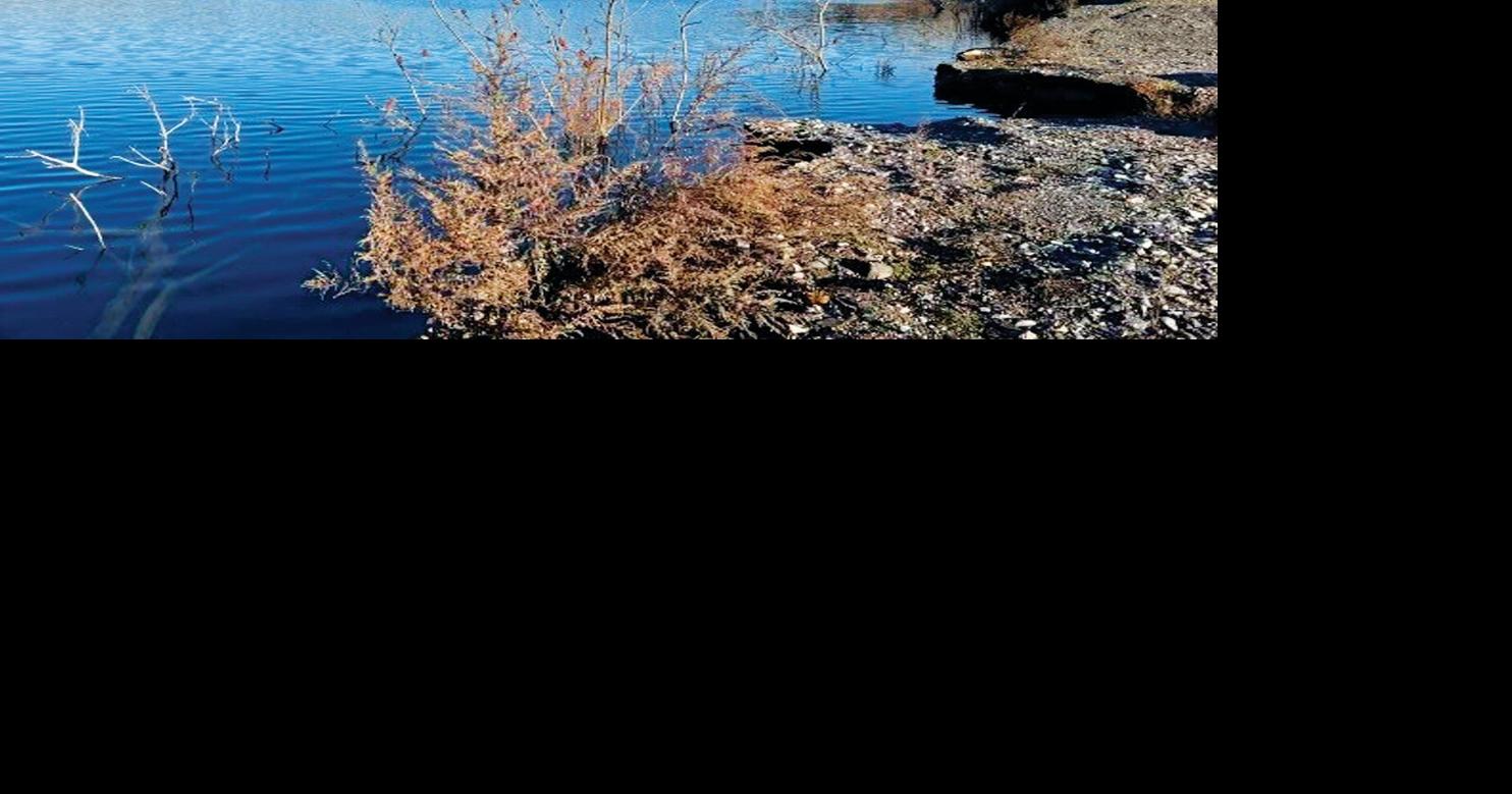 Solebury to buy New Hope Crushed Stone quarry site for $2.4M | News ...