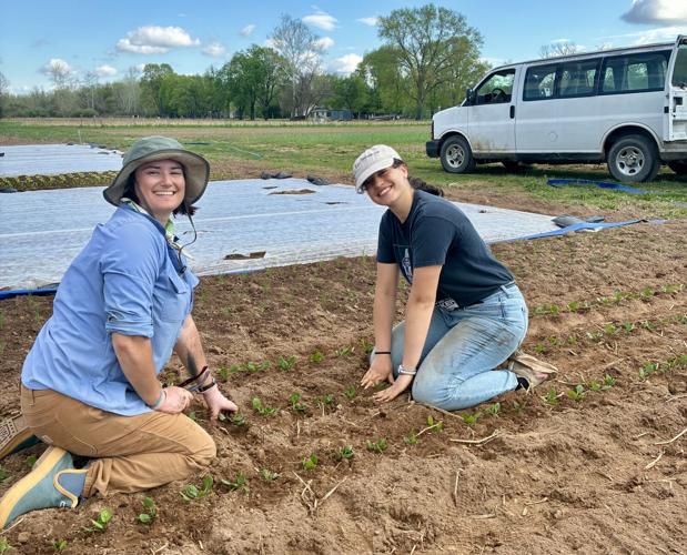 April: Into the fields at Tinicum CSA | News | buckscountyherald.com
