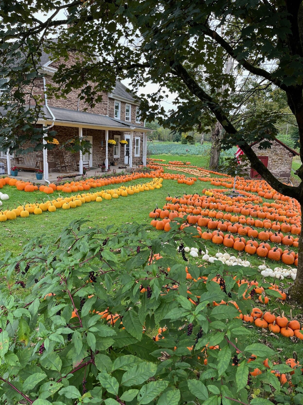 By the Way: Generations produce for Trauger's | By the Way ...