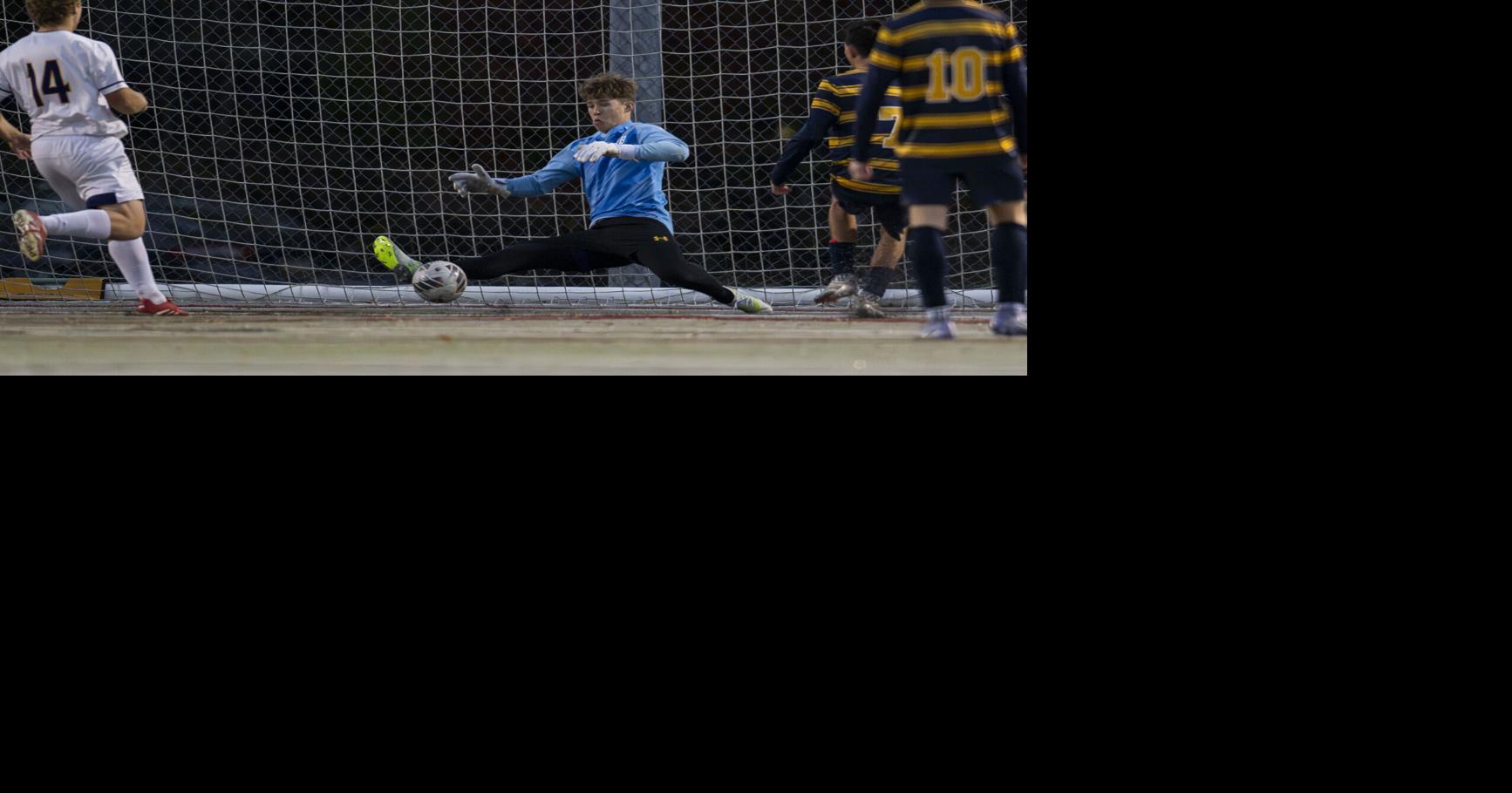 PIAA soccer wrap: Five teams advance to state quarterfinals | Sports ...
