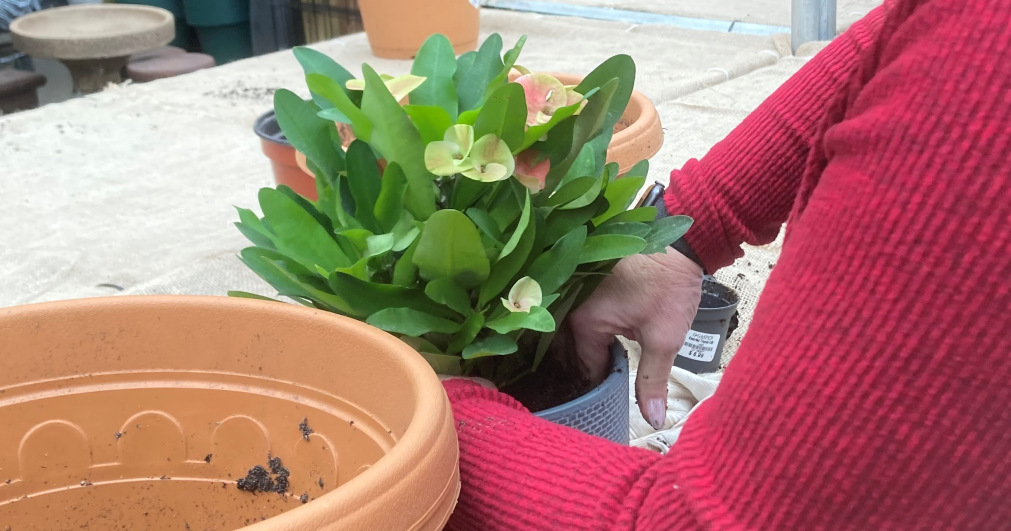 Gasper Landscape announces spring educational workshop series | Homes ...