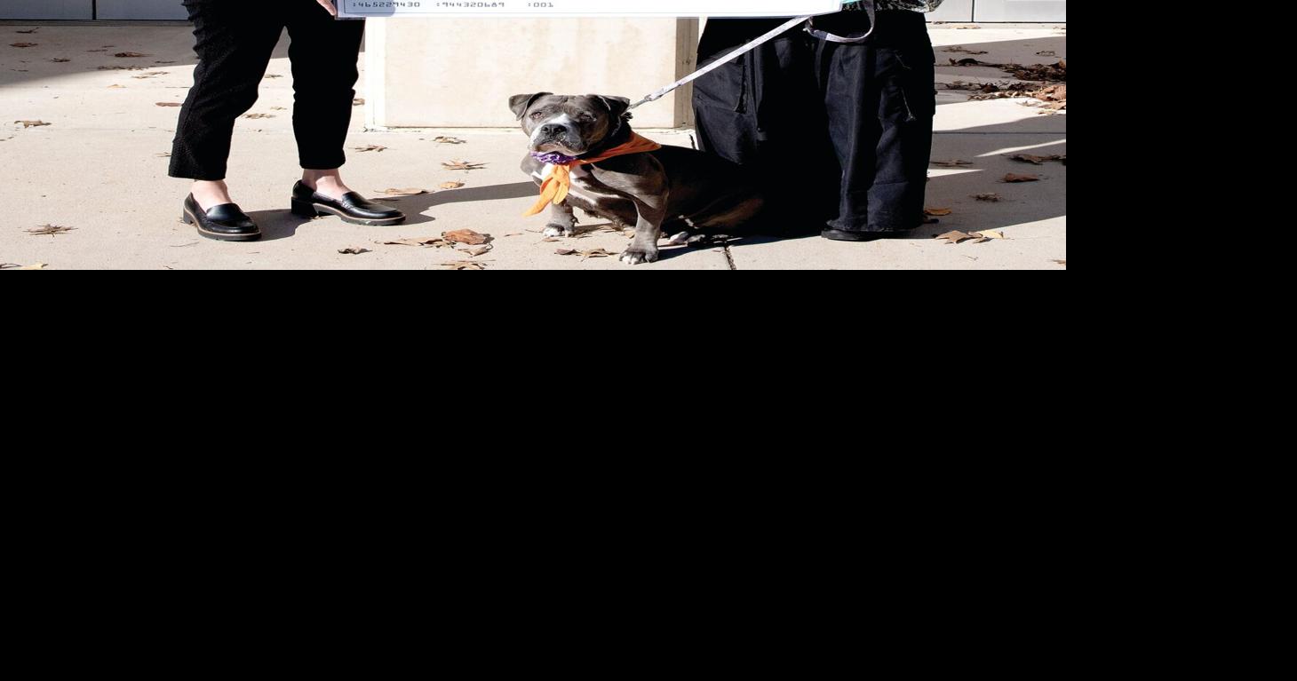 Roxy Therapy Dogs receives award, grant | Community | buckscountyherald.com