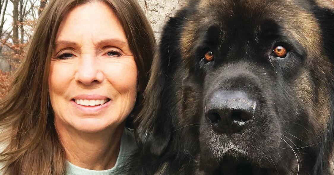 Roxy Therapy Dogs launches trauma response team | Health news ...