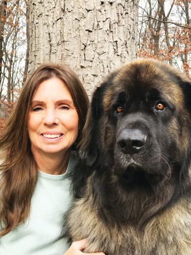 Roxy Therapy Dogs launches trauma response team | Health news ...