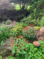 10th annual Designed for Nature Garden Tour to showcase native plants ...