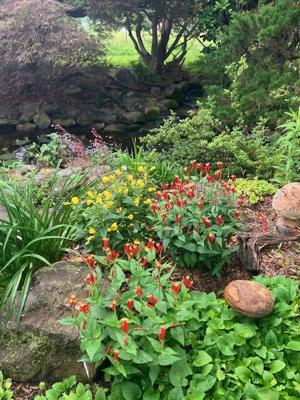 10th annual Designed for Nature Garden Tour to showcase native plants ...