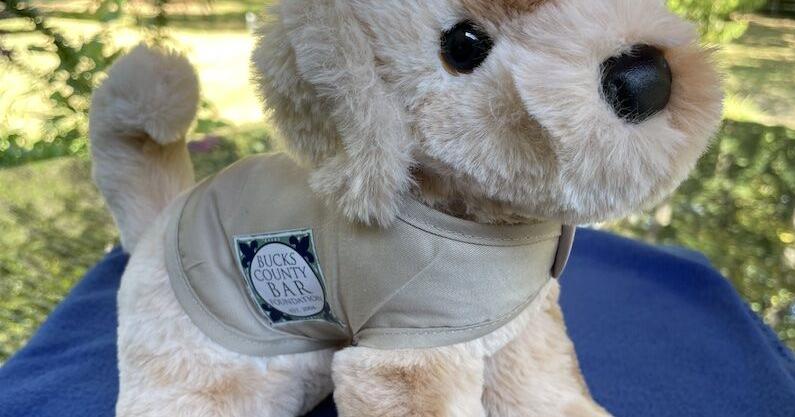 Bucks County Bar Association supports Roxy Therapy Dogs program | Pets ...