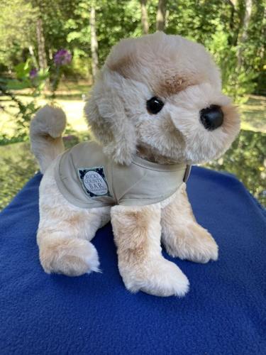 Bucks County Bar Association supports Roxy Therapy Dogs program | Pets ...