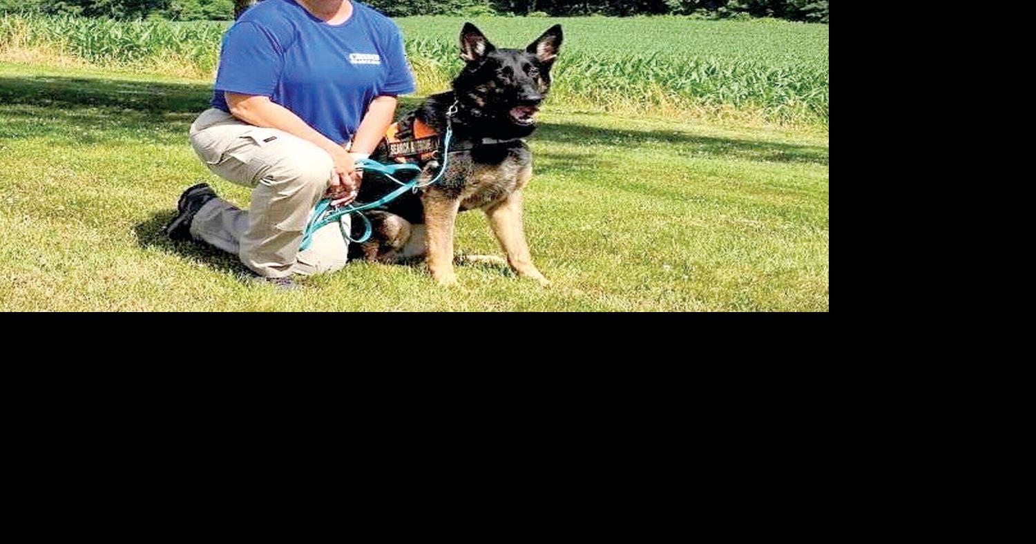 By the Way: Dogs, volunteers drive this search engine | Opinion ...